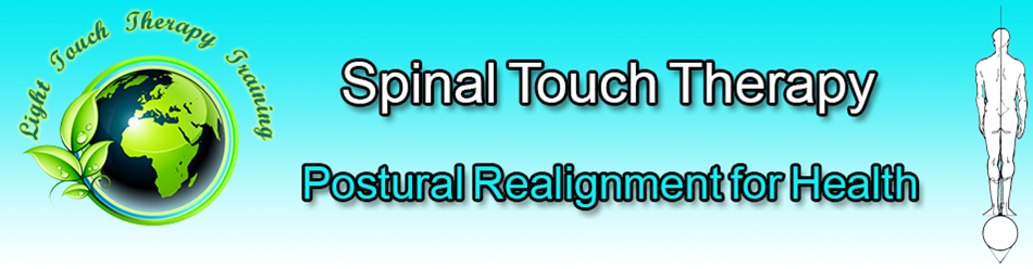 Spinal Touch Treatment & Training